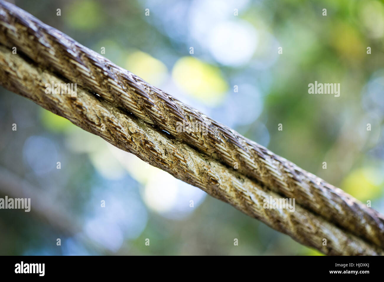 Rusty painted steel cable, bad condition. close up Stock Photo - Alamy