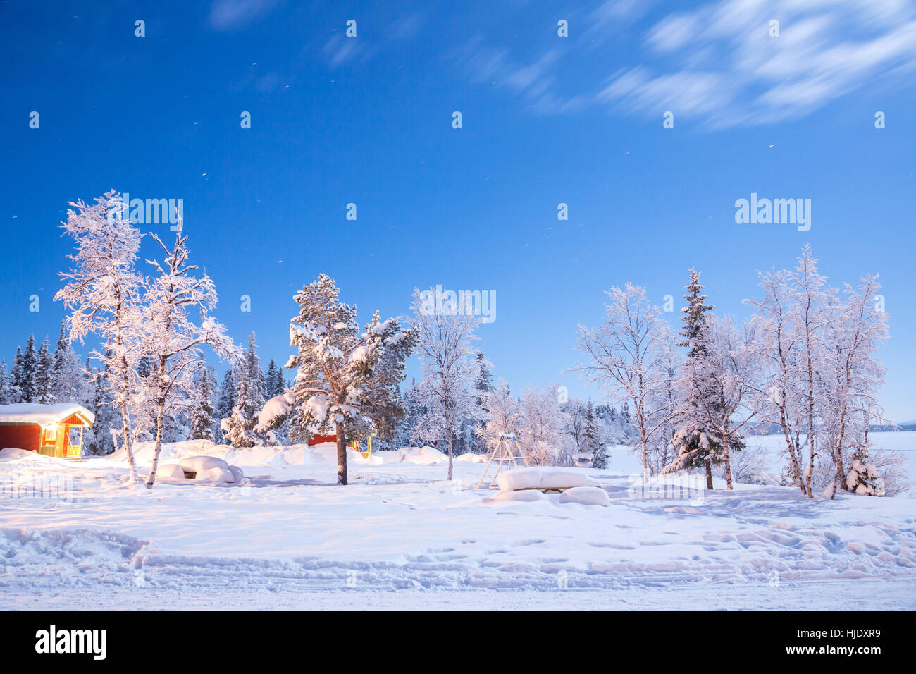 winter, night, nighttime, snow, coke, cocaine, material, drug ...