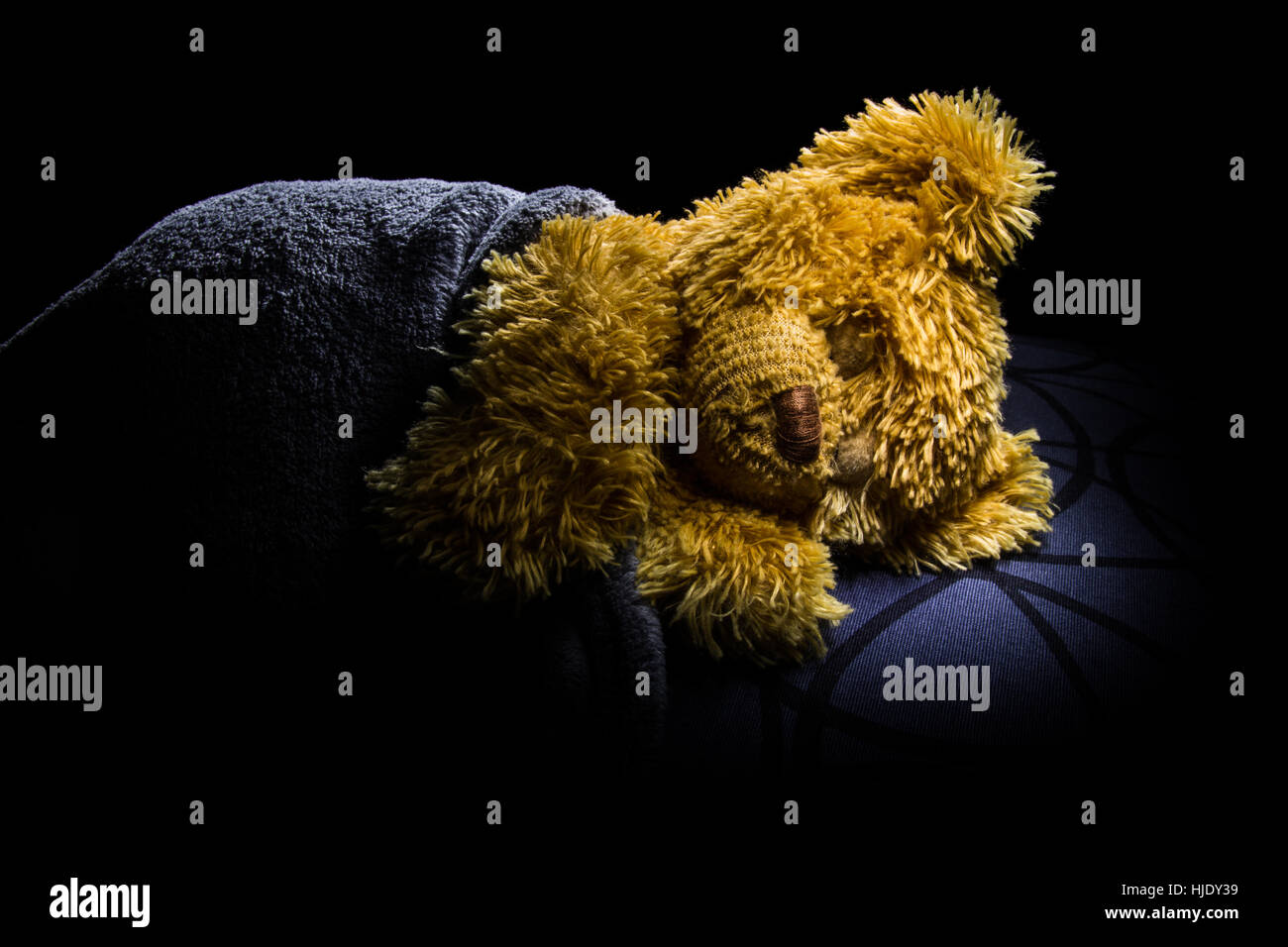 bear, night, nighttime, dream, soft, toy, sleep, sleeping, teddy, teddy ...