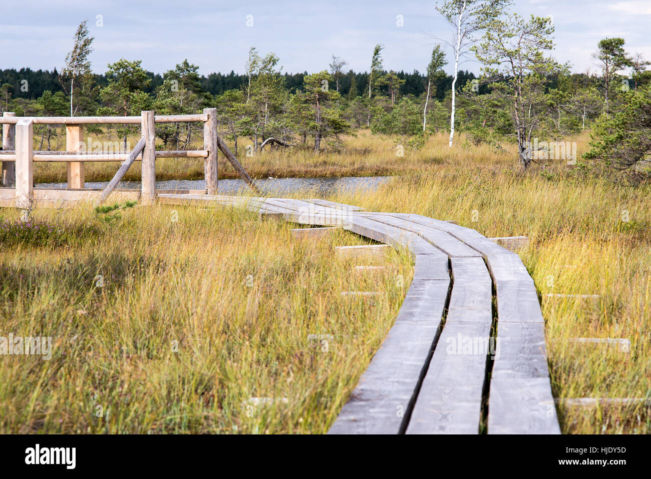 swamp view with lakes and footpath Stock Photo - Alamy