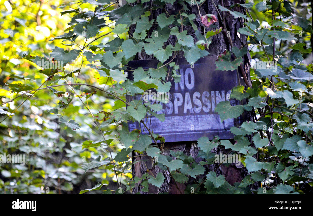 A no trespassing sign on a tree partially hidden by leaves Stock Photo ...