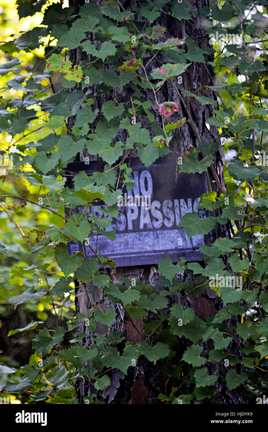A no trespassing sign on a tree partially hidden by leaves Stock Photo ...