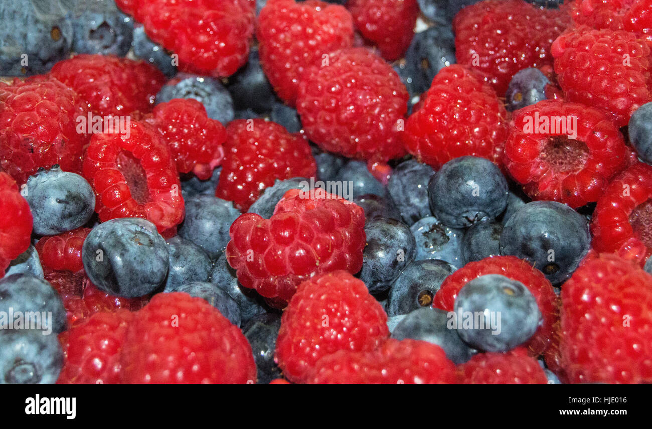 A closeup picture of a mix of red raspberries and blueberries Stock ...