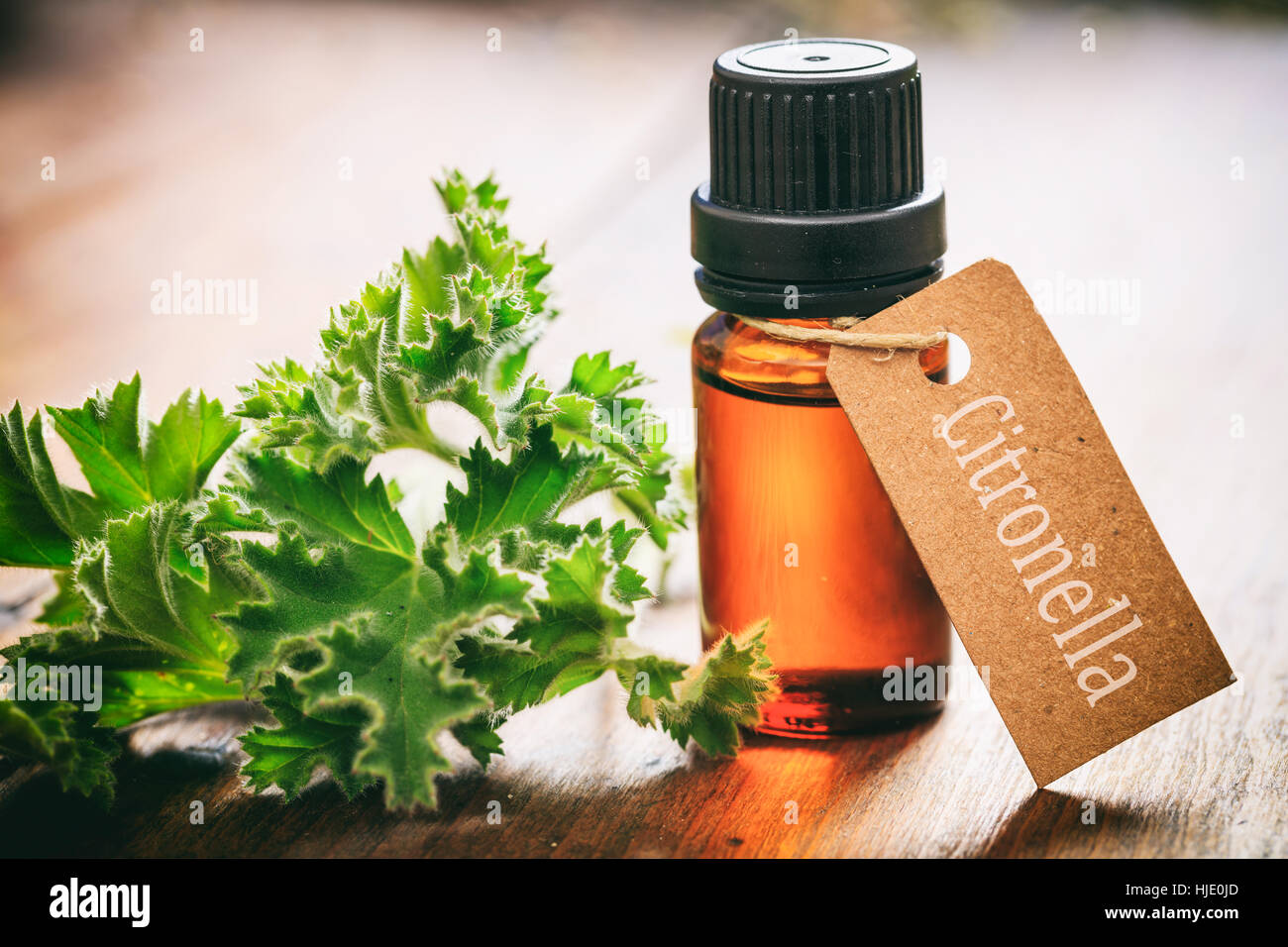 Fresh citronella leaves and oil on wooden background Stock Photo - Alamy