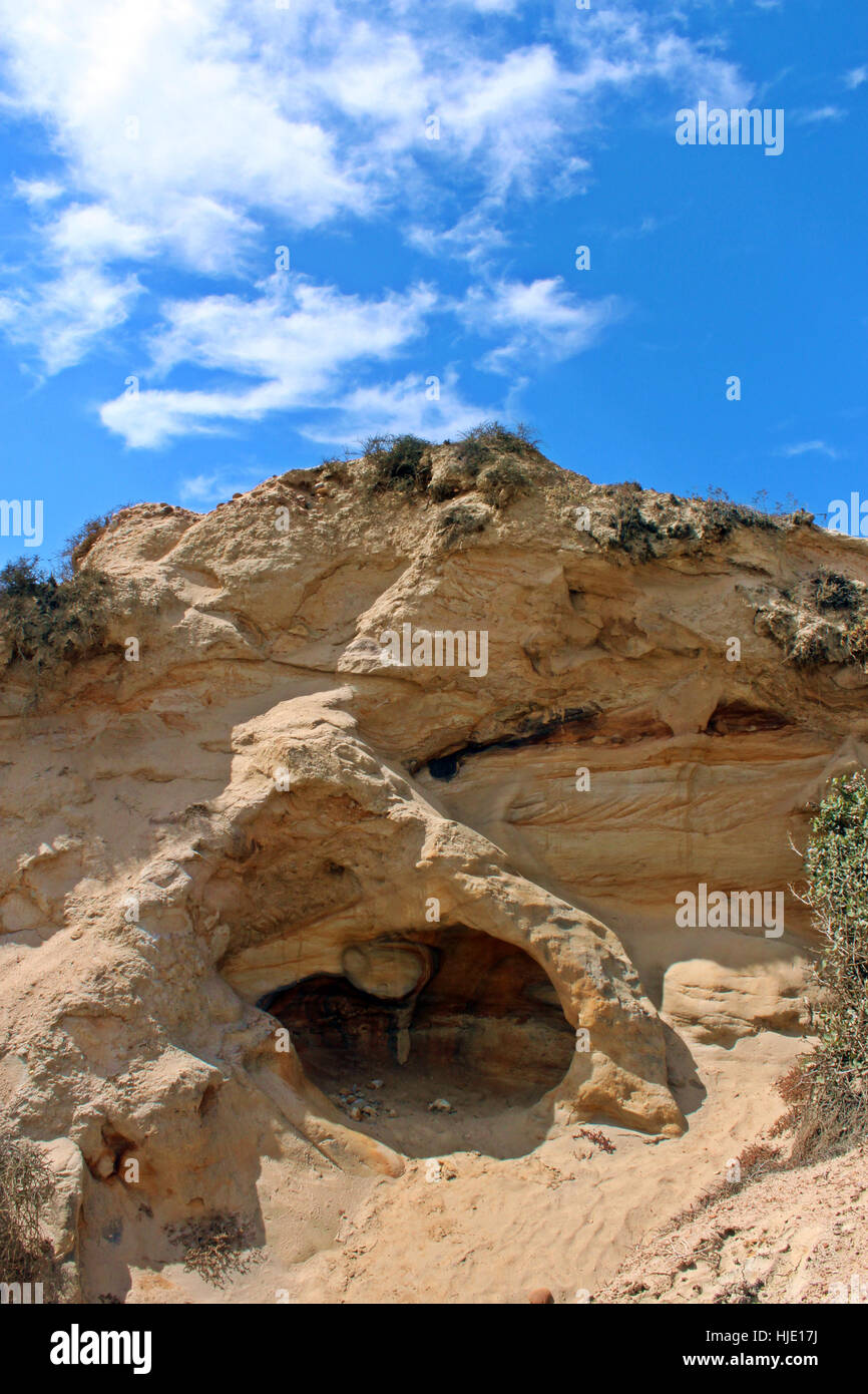 Torrey pines natural reserve hi-res stock photography and images - Alamy