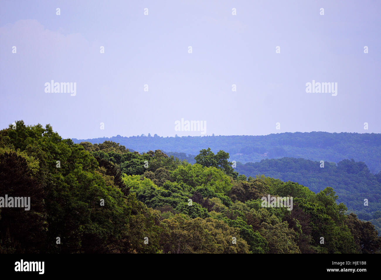 A landscape scenery of trees and mountains in Tennessee Stock Photo - Alamy