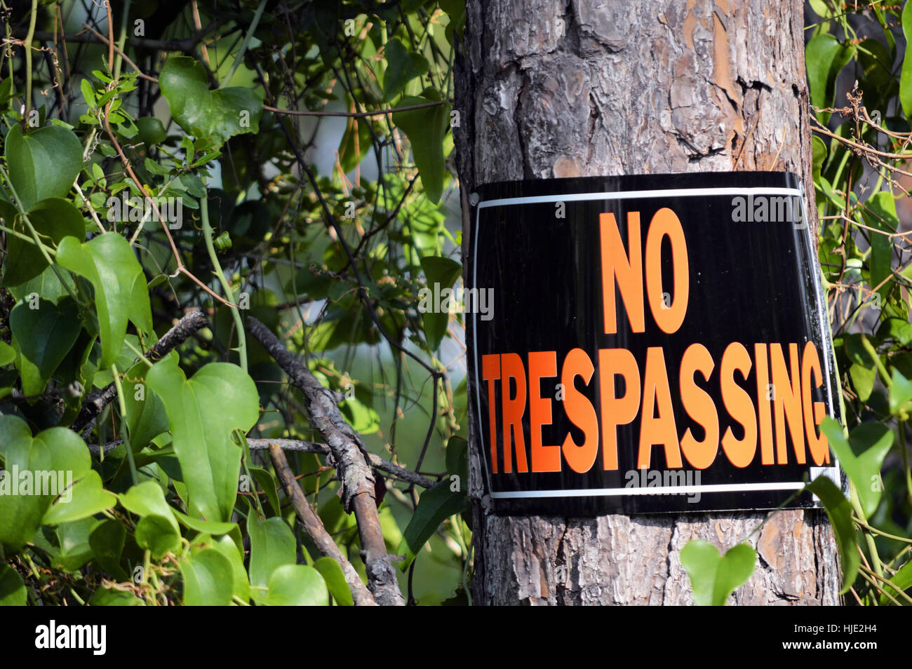No trespassing sign tree hi-res stock photography and images - Alamy