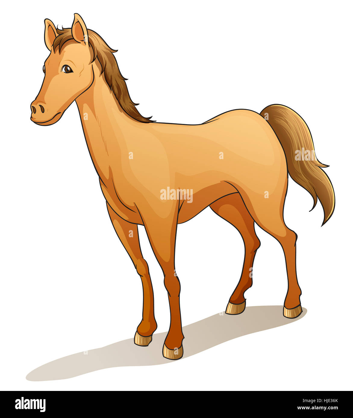 single, horse, graphic, animal, mammal, illustration, pony, one ...