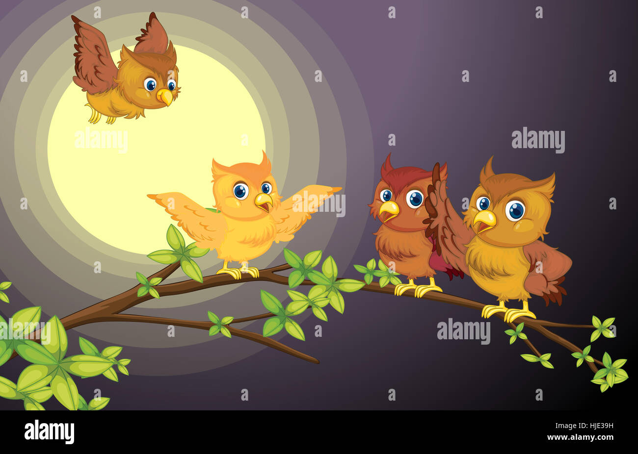 isolated, colour, tree, graphic, animal, bird, night, nighttime, wild ...