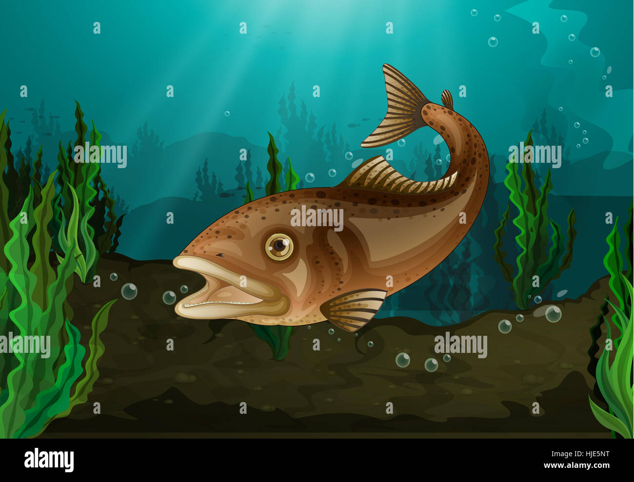 Freshwater fish in underwater habitat Stock Photo - Alamy