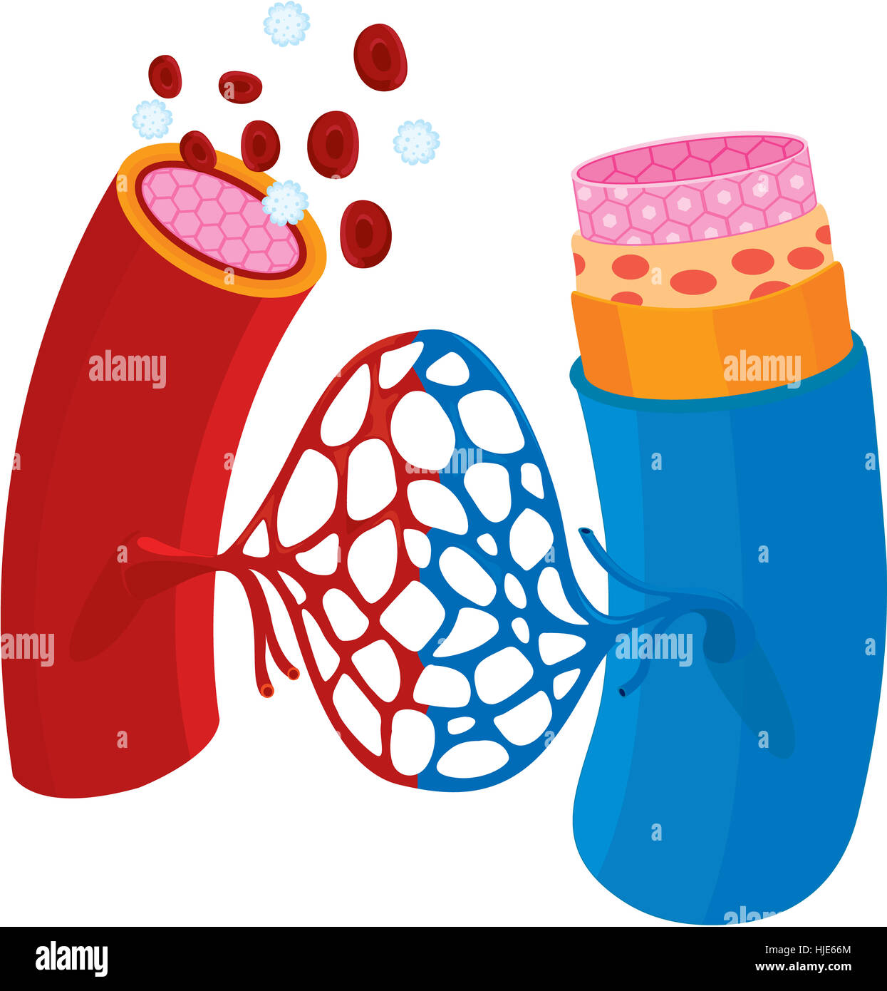 Internal circulation space hi-res stock photography and images - Alamy