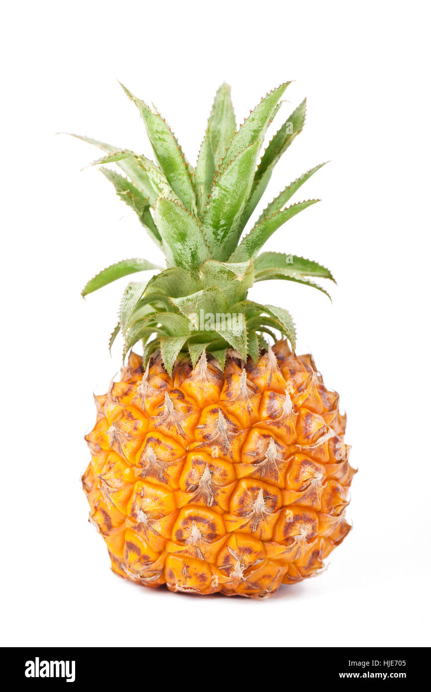 ripe fresh baby pineapple Stock Photo - Alamy