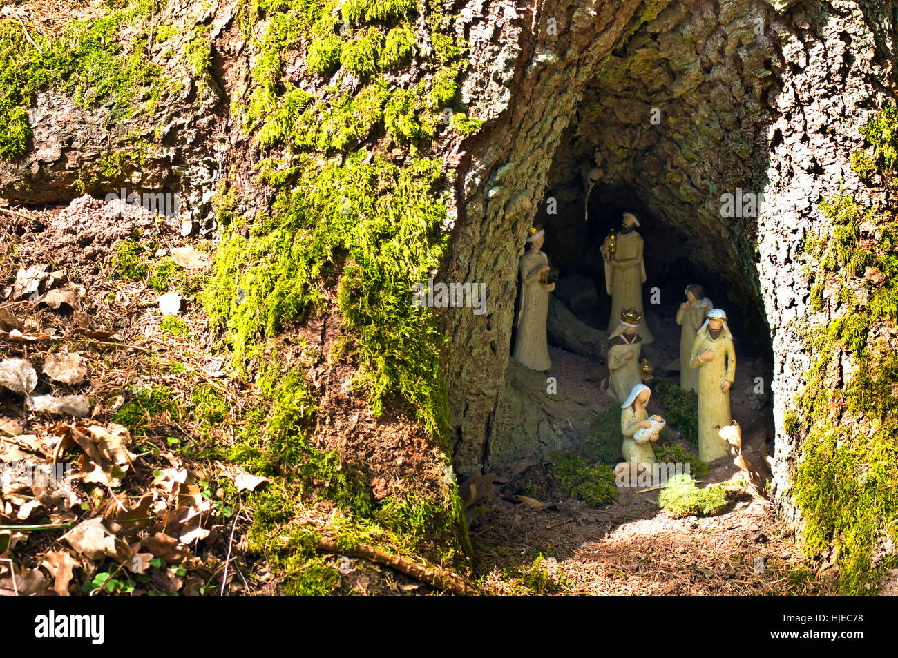belief, tree, cave, physiques, manger, jesus, religion, belief, tree ...