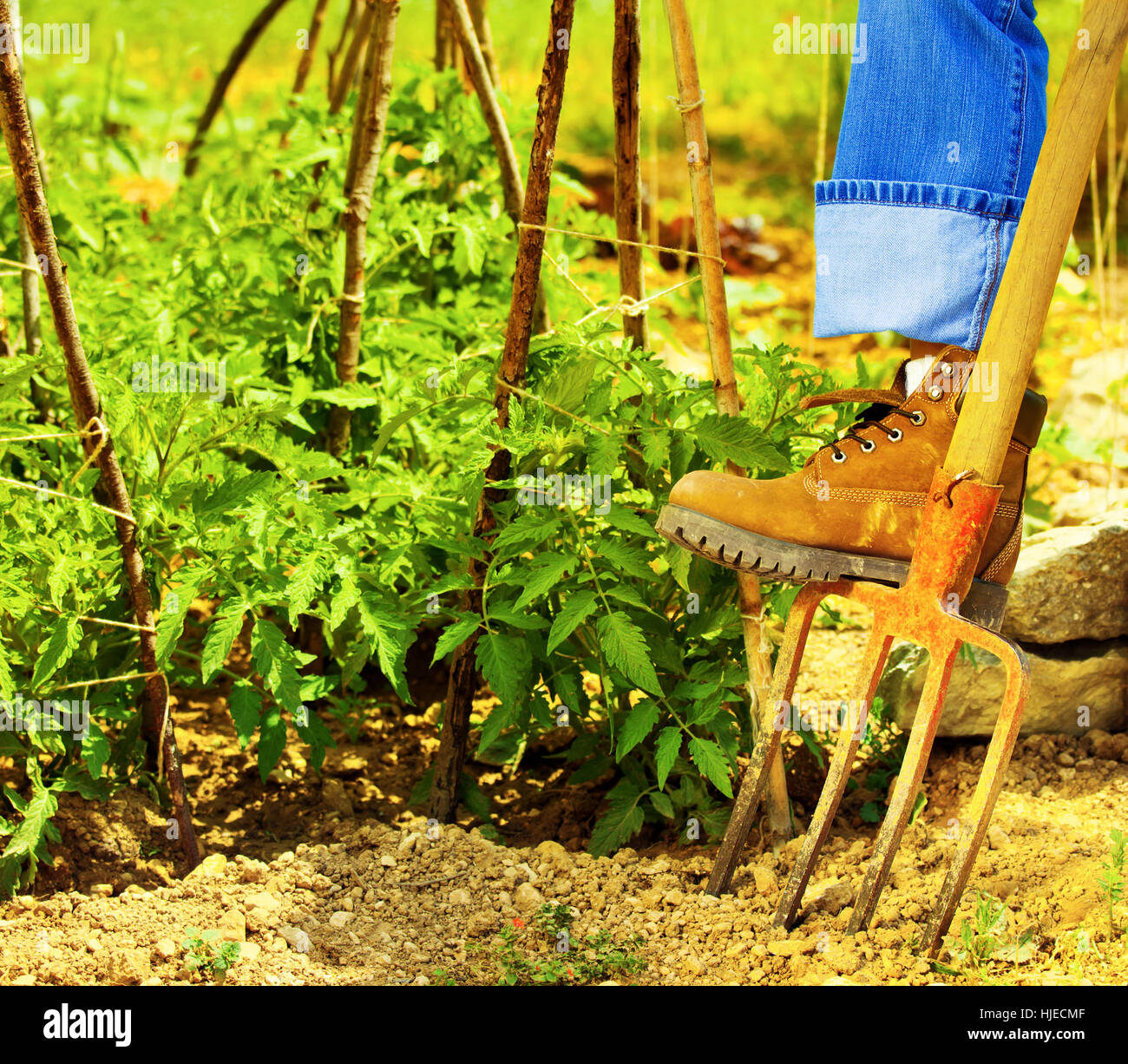 ground, soil, earth, humus, agriculture, farming, harvest, farm ...