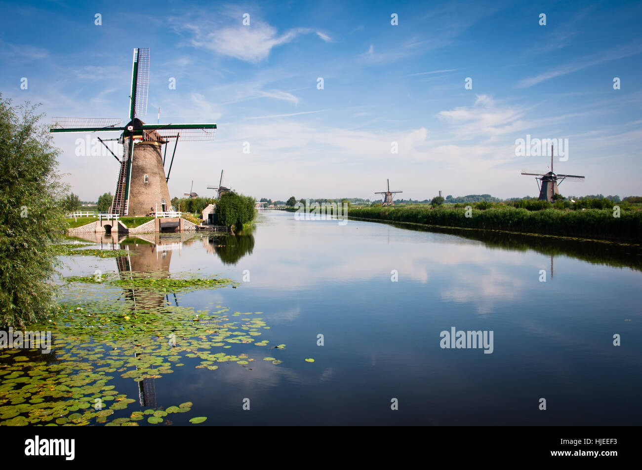 blue, environment, enviroment, cultural, agriculture, farming, summer ...