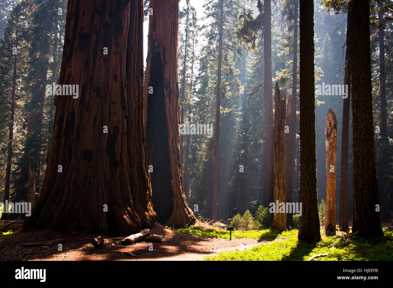 travel, big, large, enormous, extreme, powerful, imposing, immense ...