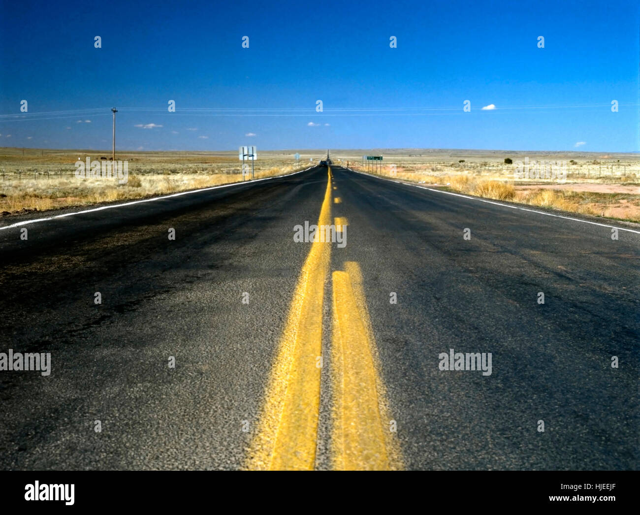 blue, desert, wasteland, flora, usa, deserted, arizona, empty, plants ...