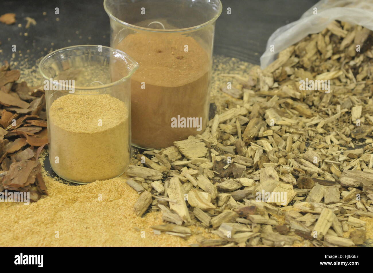 Bioenergy hi-res stock photography and images - Alamy
