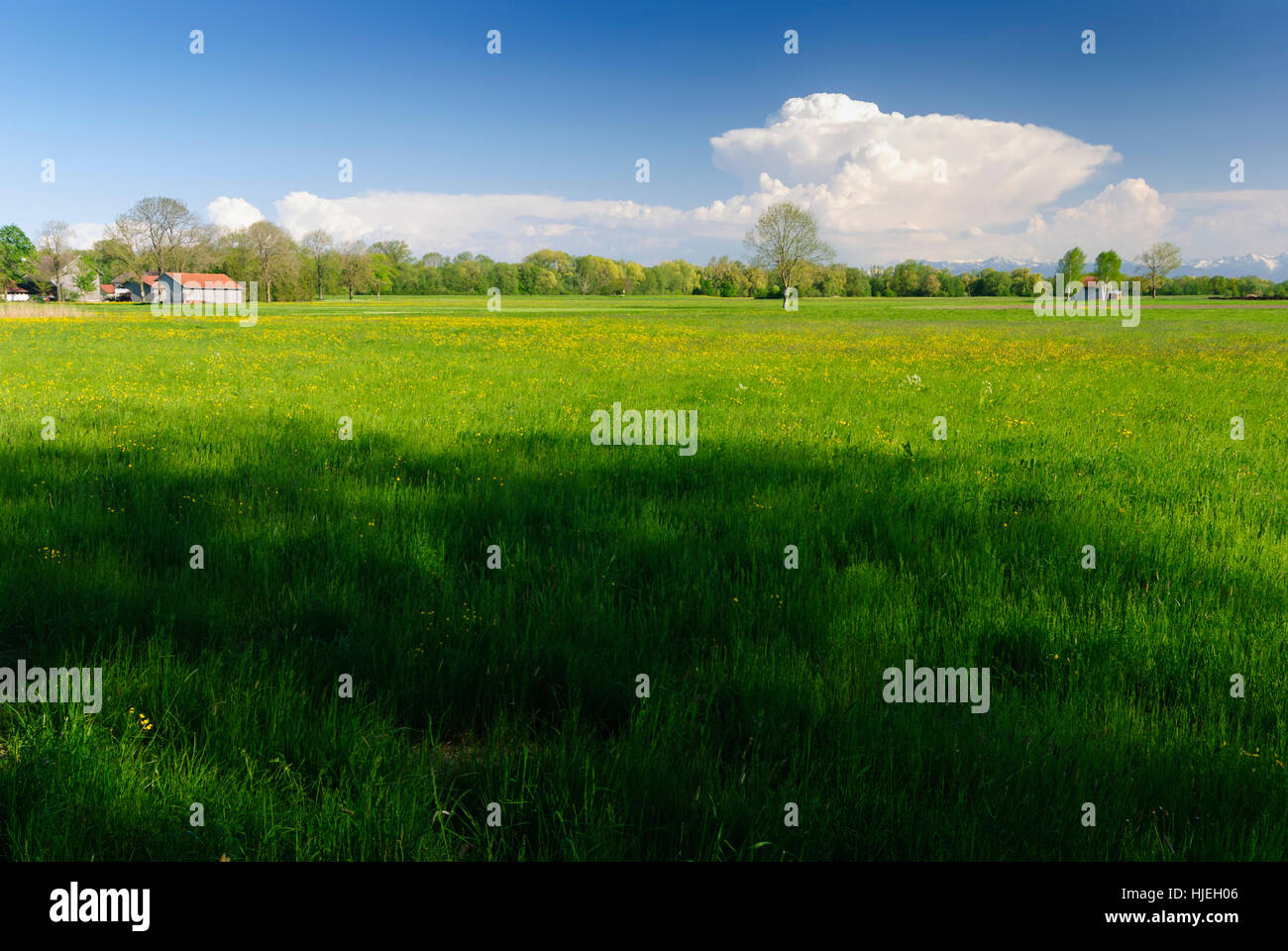 Pähl: Alpine foothills with a view of the Alps, Oberbayern, Upper ...