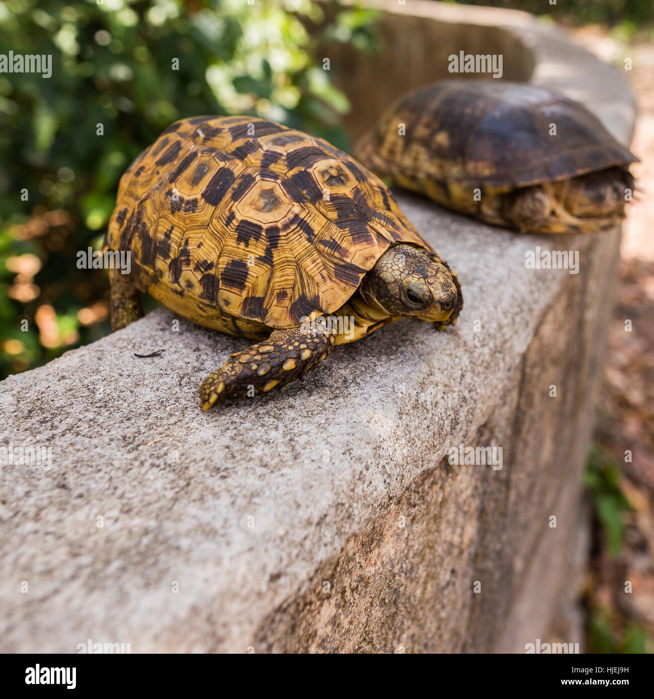 Africa overland hi-res stock photography and images - Alamy