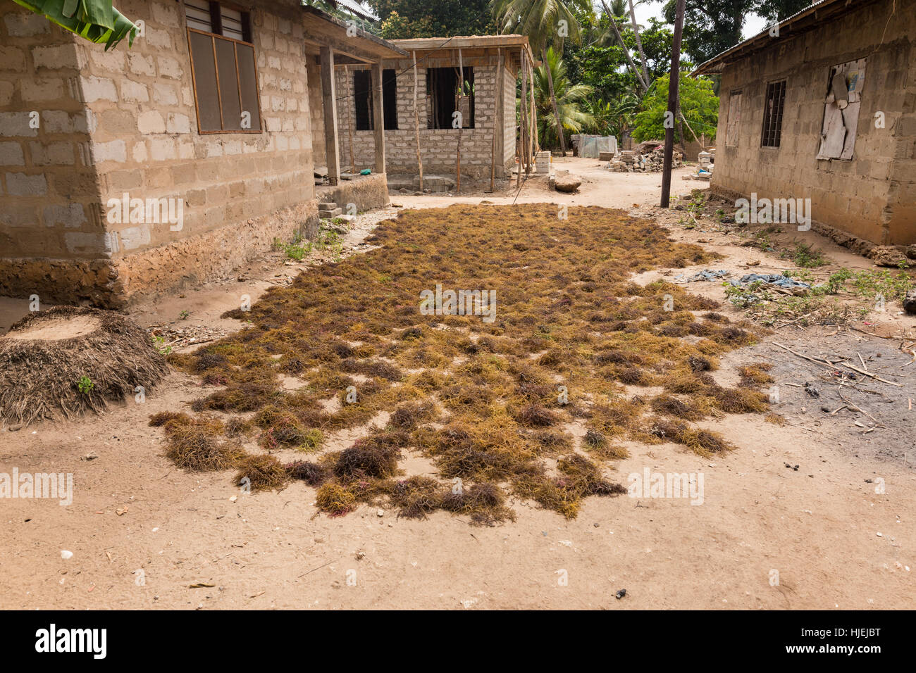 Poverty weed hi-res stock photography and images - Alamy