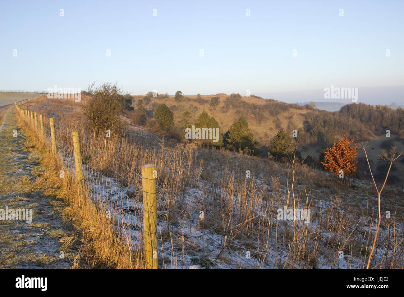 Morning gallops hi-res stock photography and images - Alamy