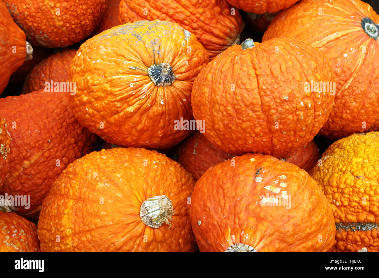 Werntedankfest hi-res stock photography and images - Alamy