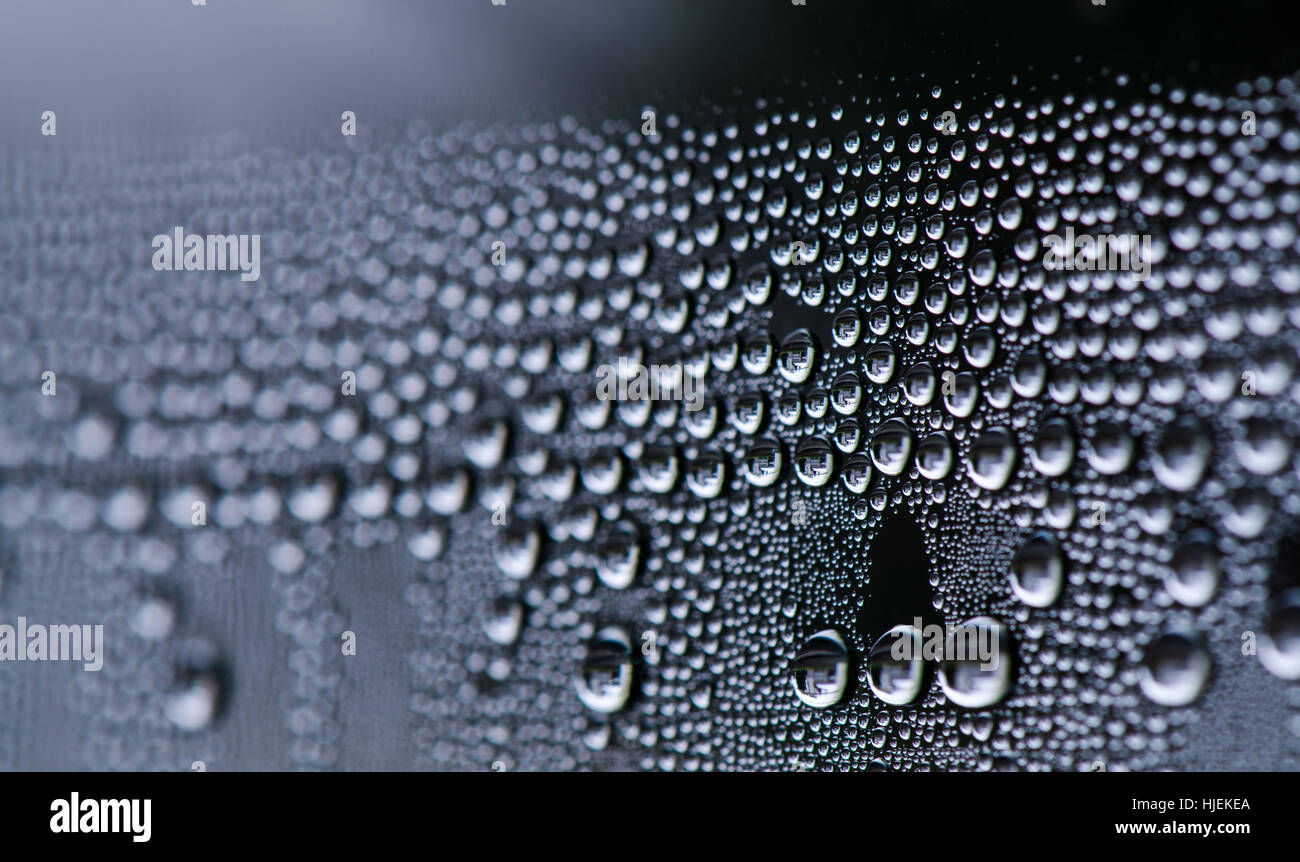 wet, dew, moist, window, drop, drip, drops, seeping, sopping, drips ...