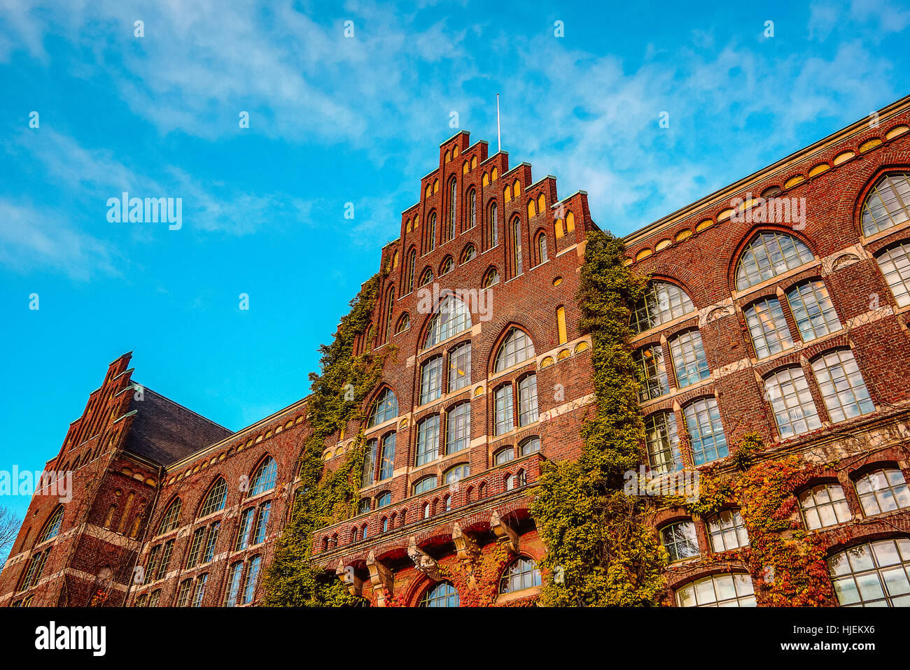 Lund University Library. An huge brick facade with ivy against blue sky ...