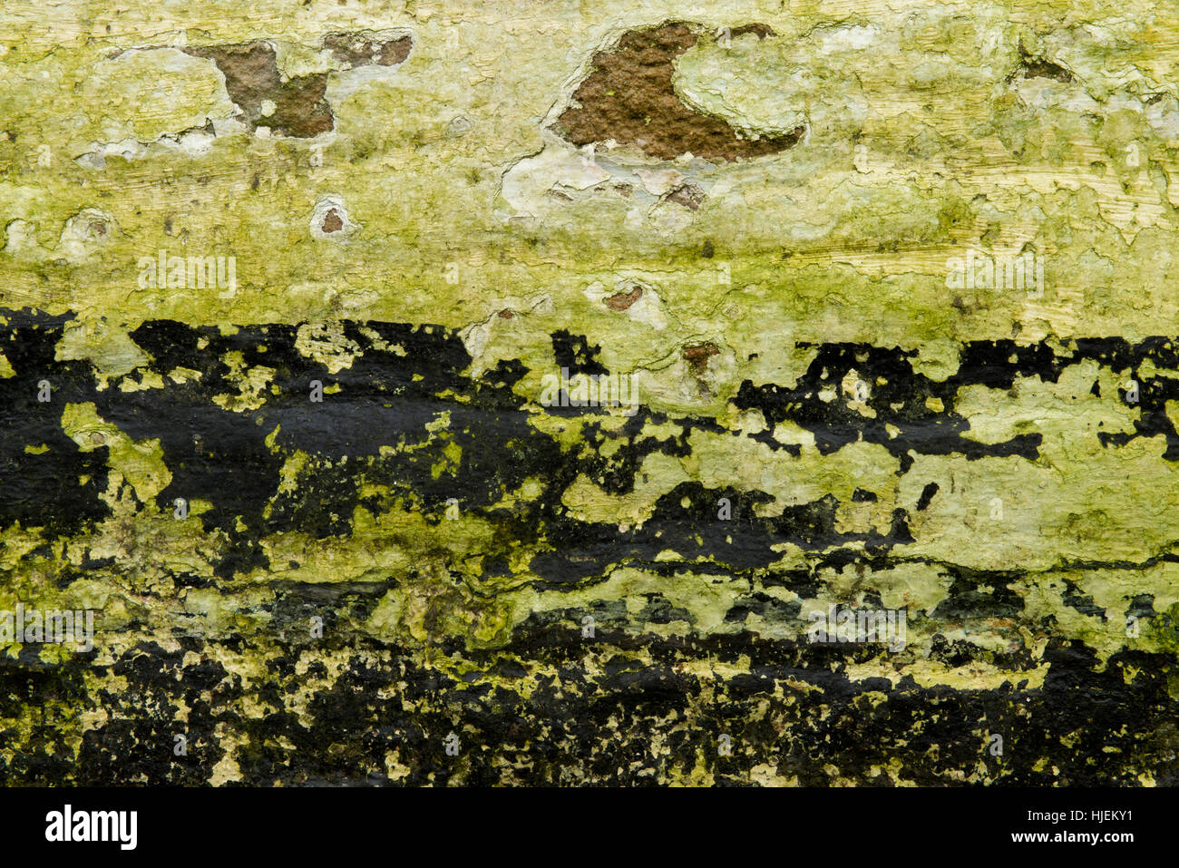 Abstract colour and texture Stock Photo - Alamy
