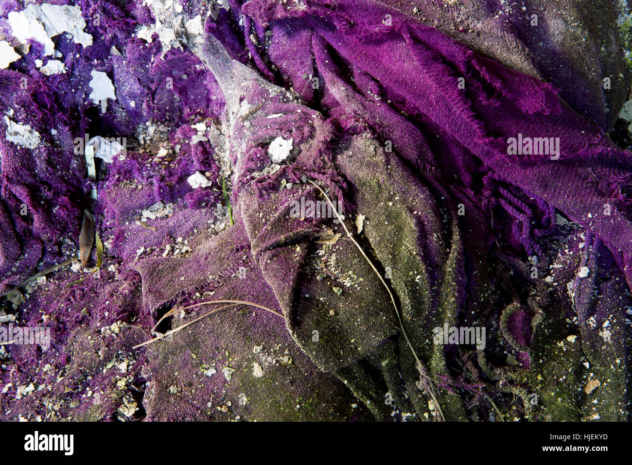 Abstract colour and texture Stock Photo - Alamy