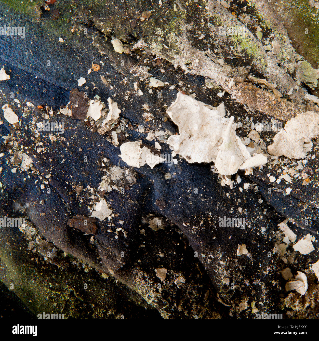 Abstract colour and texture Stock Photo - Alamy