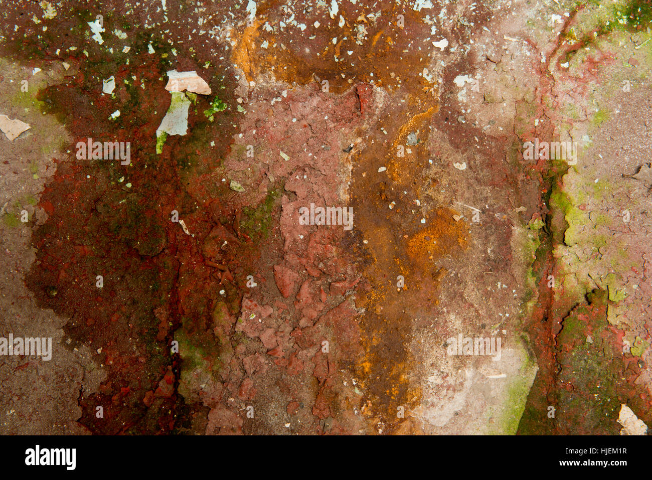 Earthy colour hi-res stock photography and images - Alamy