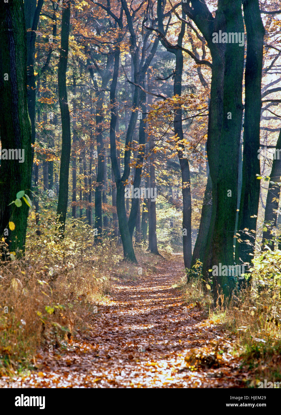 Hungary colours hi-res stock photography and images - Alamy