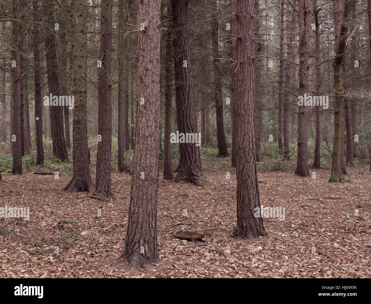 Landscape photography taken in the north of England using a medium ...