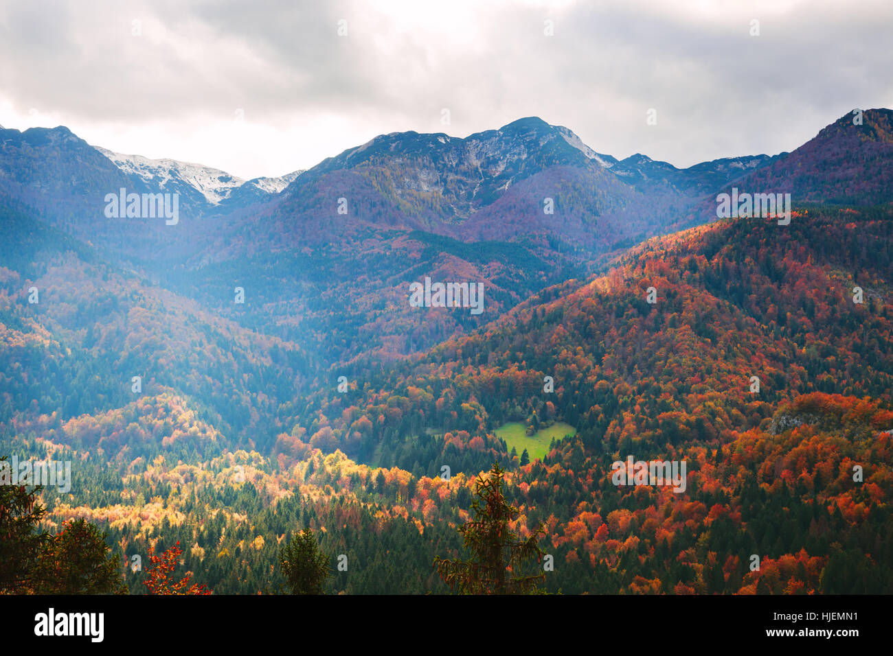 The mountain autumn landscape with colorful forest in Slovenia Stock ...