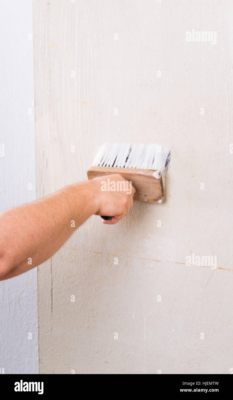 paper, academic work, painter, house painter, roll, renovation ...