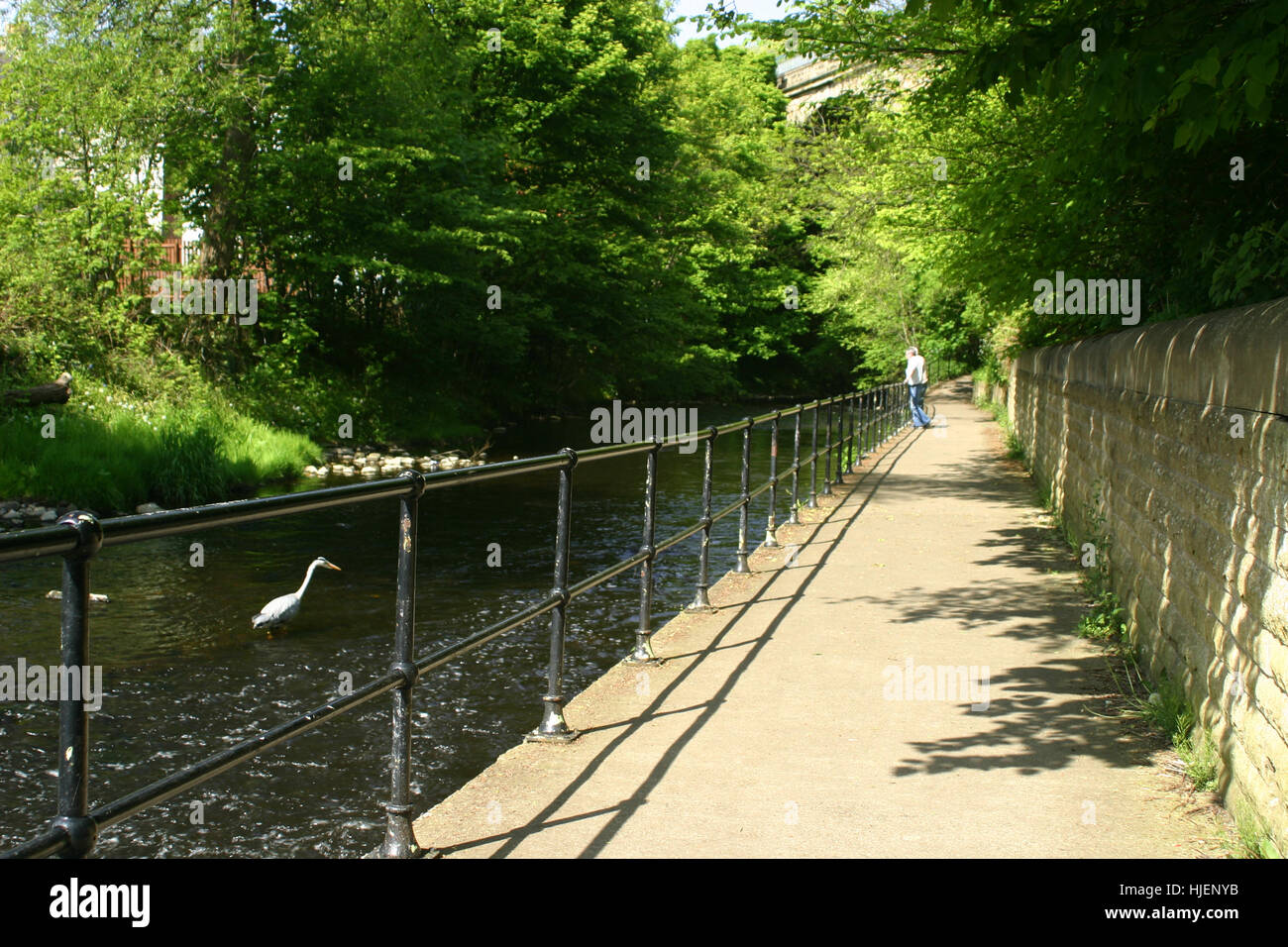 Architecture and nature parks in Edinburgh, Scotland, UK Stock Photo ...