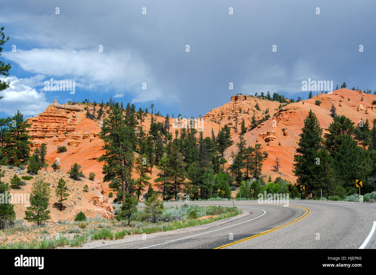 environment, enviroment, tree, asphalt, america, Canyon, environment ...