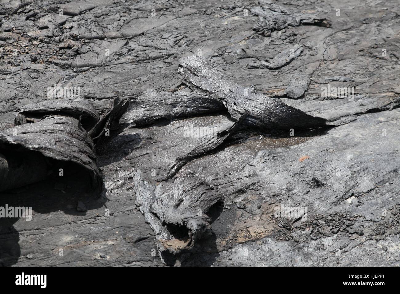 Pitch lake trinidad hi-res stock photography and images - Alamy