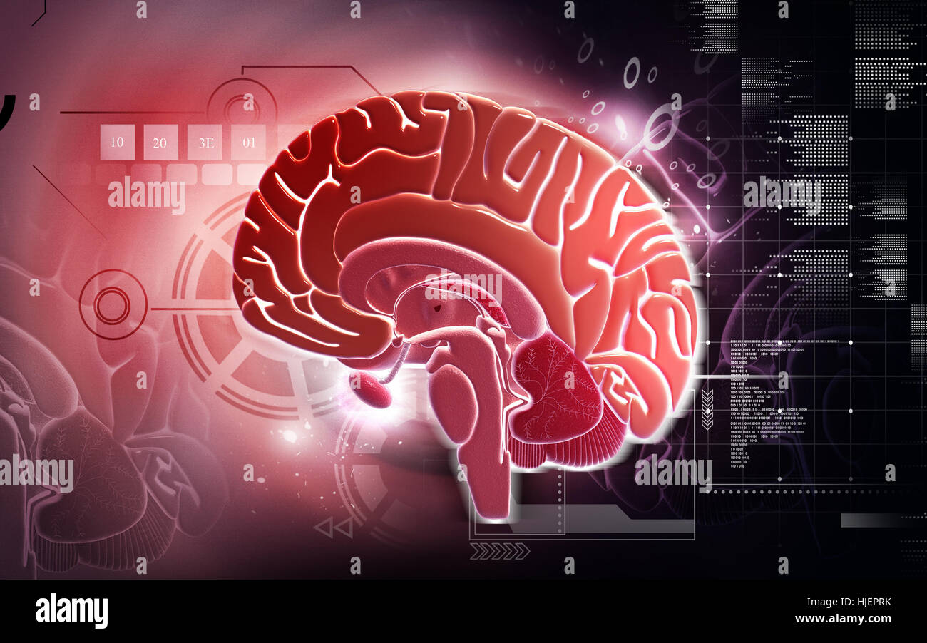 health, medicinally, medical, graphics, colour, human, human being ...