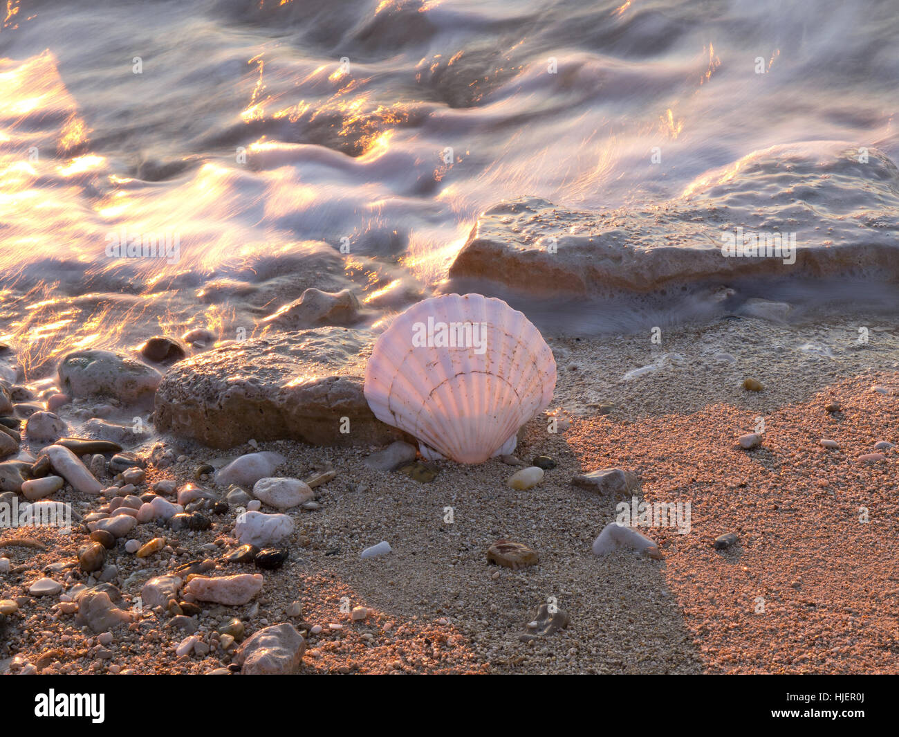beach, seaside, the beach, seashore, island, seashell, landscape ...
