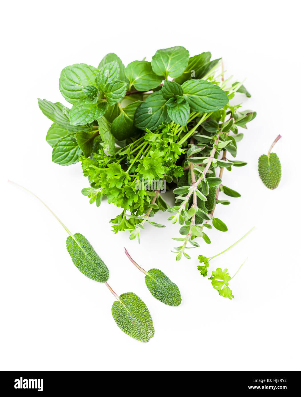 food, aliment, leaf, spice, isolated, garden, leaves, freshness ...