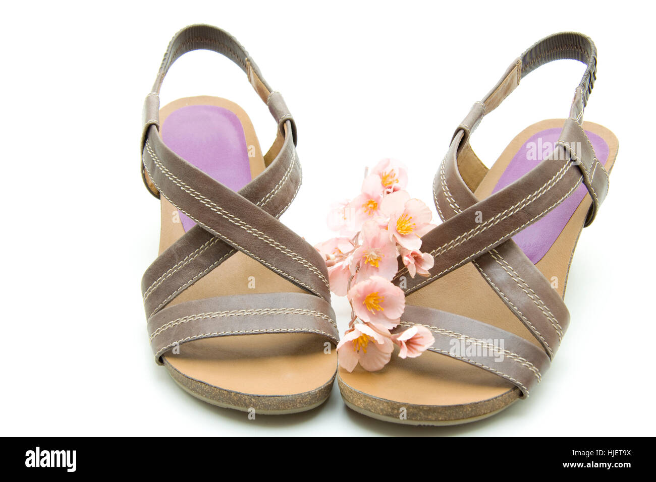 Sole plant hi-res stock photography and images - Alamy