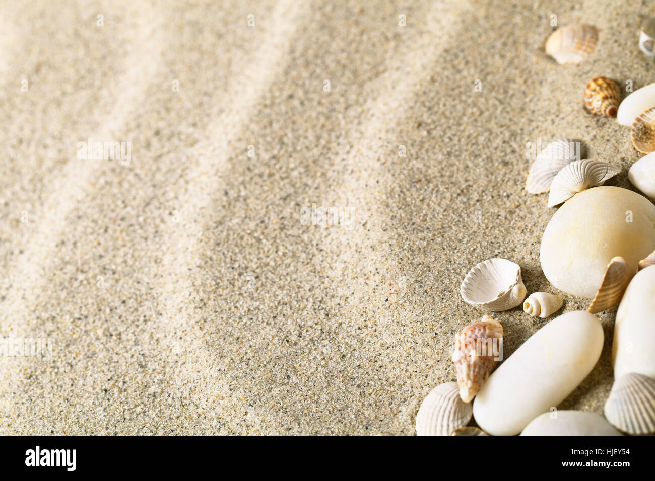 sand and shells Stock Photo - Alamy