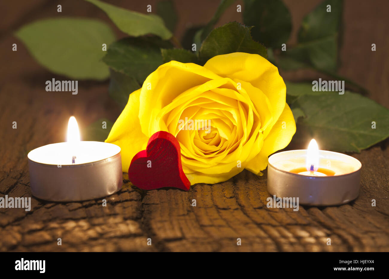 symbolic, model, design, project, concept, plan, draft, flower, rose ...