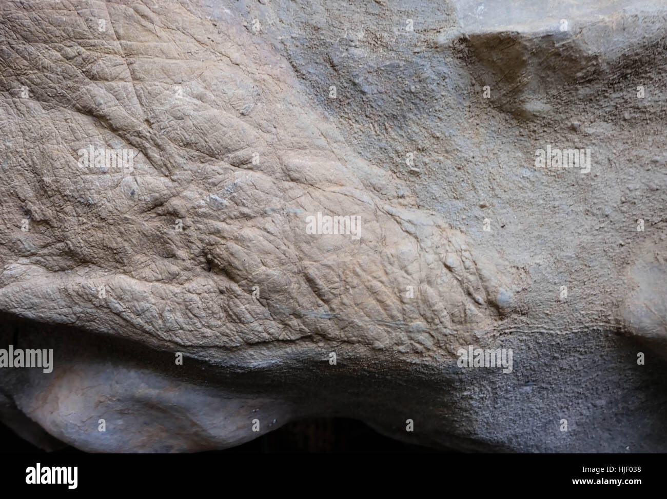 big tracery stone texture or background on wall Stock Photo - Alamy