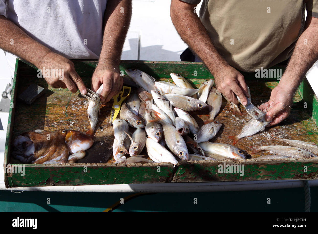 angle, fish, hovel, humans, human beings, people, folk, persons, human ...