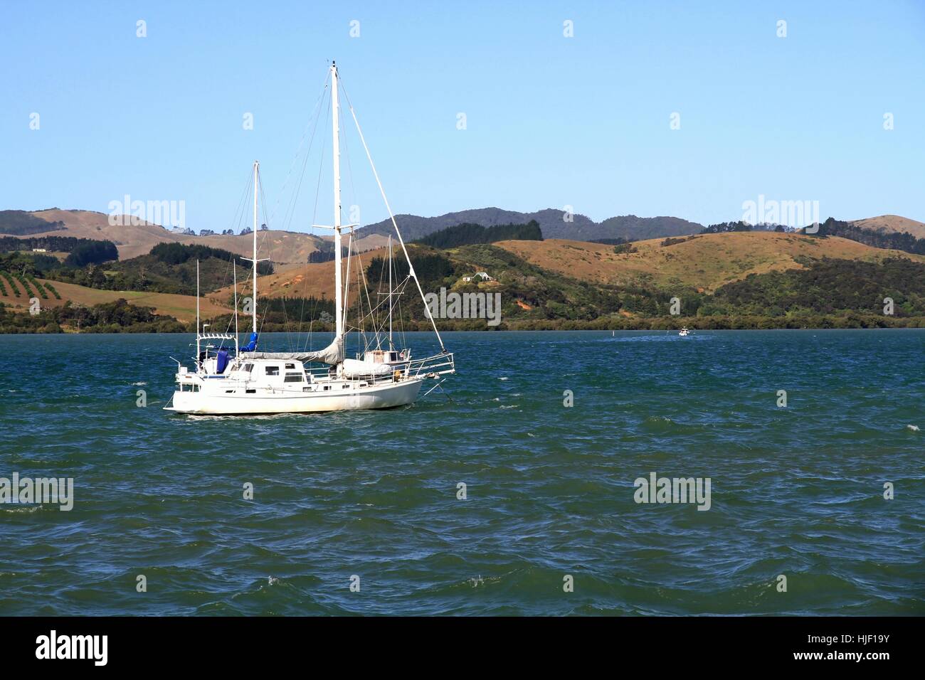 new zealand, sailing boat, sailboat, water, rowing boat, boat ...
