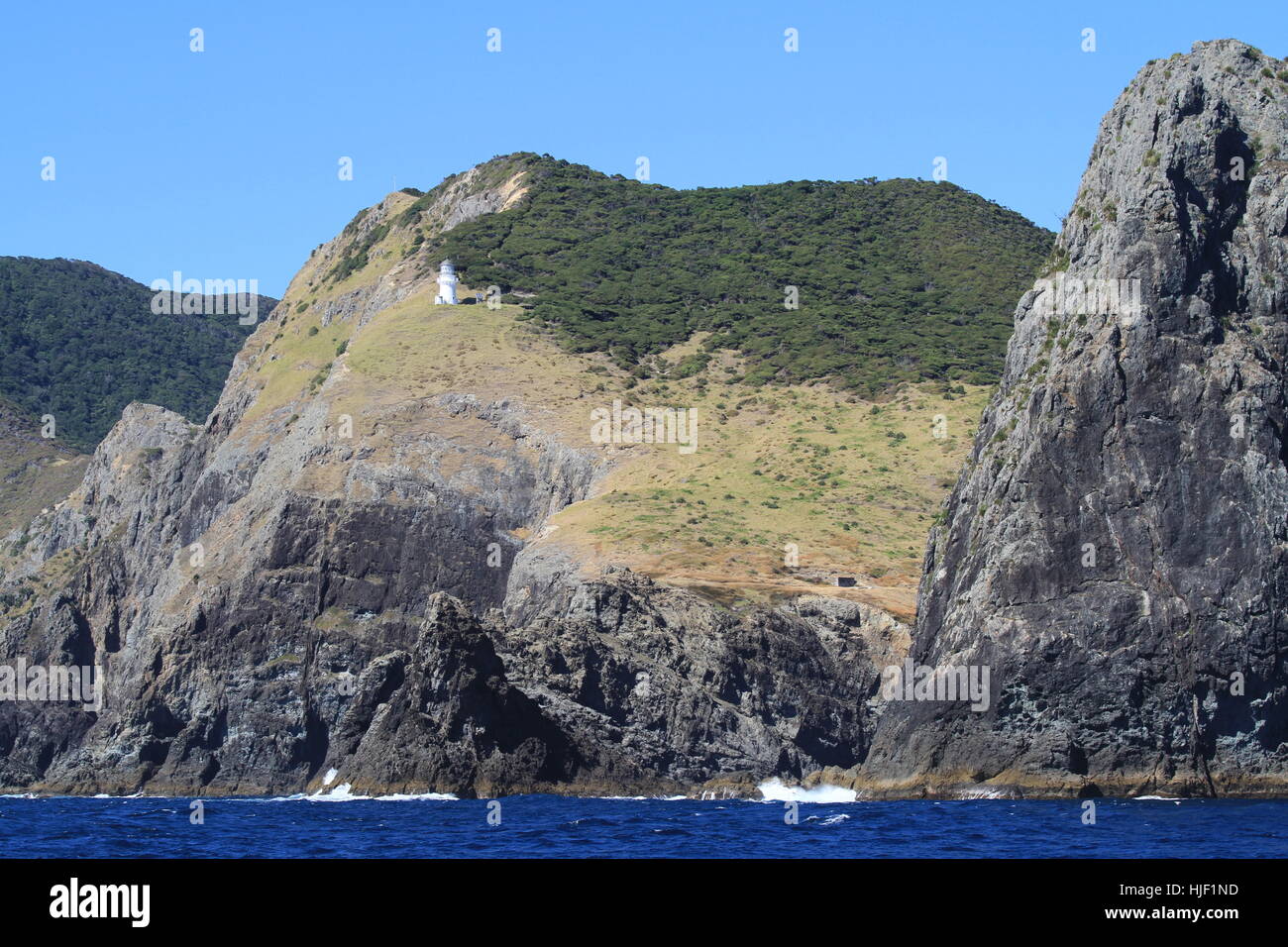 new zealand, salt water, sea, ocean, water, rowing boat, sailing boat ...